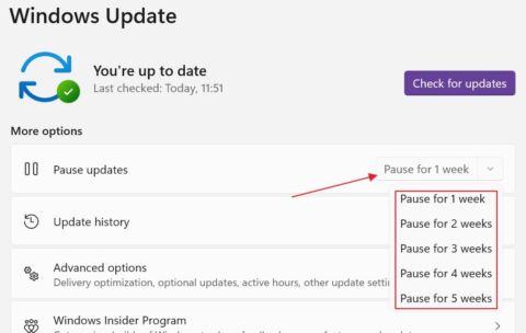What Are Windows Definition Updates and Why You Need Them?