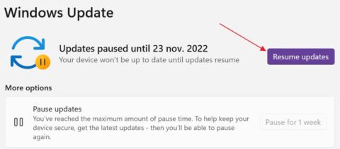What Are Windows Definition Updates and Why You Need Them?